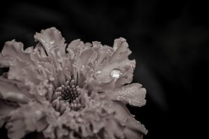 Mandi May photography - Photography