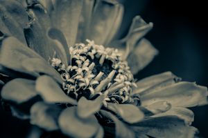 Mandi May photography - Photography