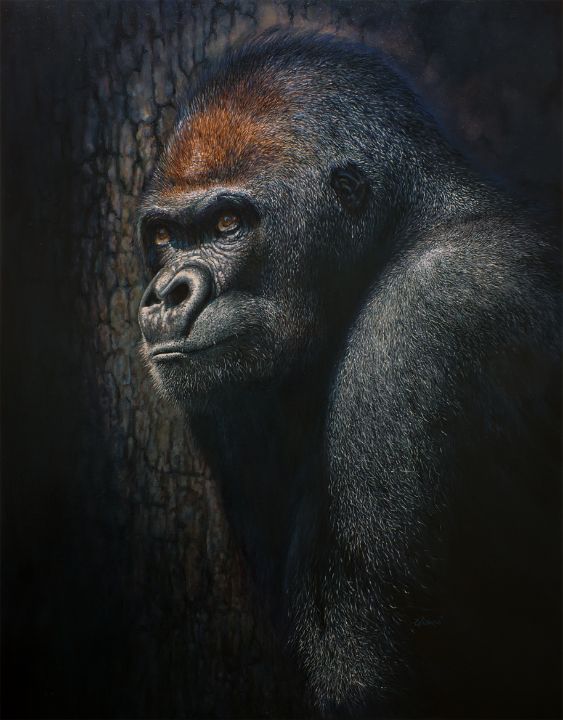 HOPE - Silverback Gorilla ( 2020 ) - Chami's Art - Paintings & Prints ...