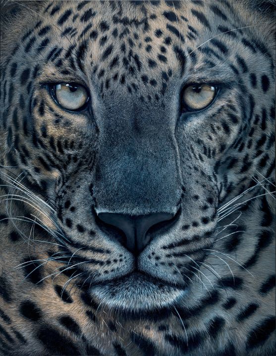 JULIUS - Sri Lankan Leopard ( 2021 ) - Chami's Art - Paintings & Prints ...