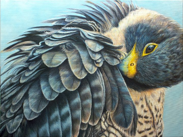 RUFFLED no2 - Peregrine falcon(2021) - Chami's Art - Paintings & Prints ...