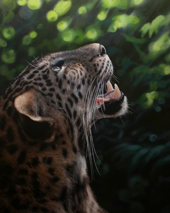 CURIOUS DISNEY - Leopard, Sri Lanka - Chami's Art - Paintings & Prints ...