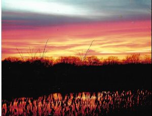 SUNSETS - Photography