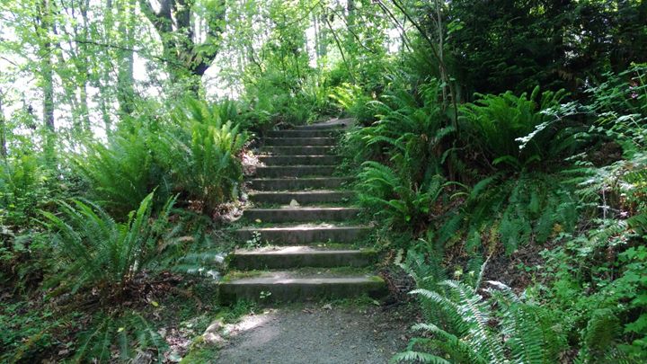 Seattle Stairway to Heaven - Nonconformist101 - Photography, Landscapes ...