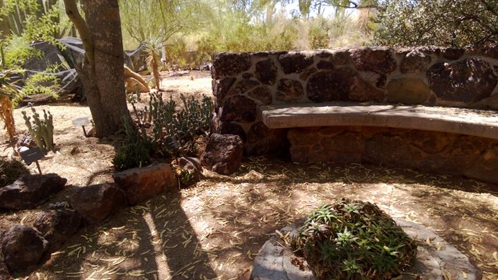 Desert Shade - Nonconformist101 - Photography, Places & Travel, United ...