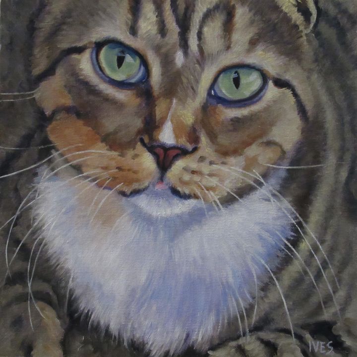 Pet Portrait Example 8x8 - RKIves - Paintings & Prints, Animals, Birds ...