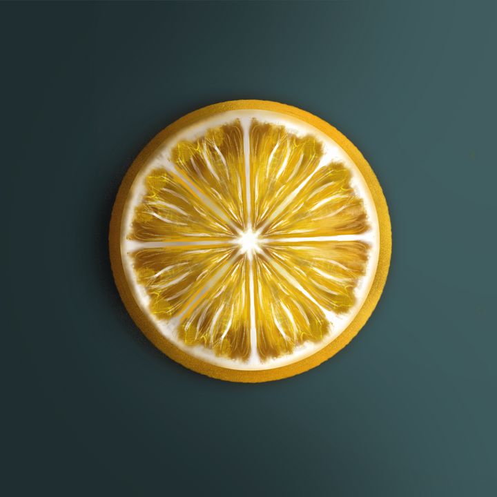 Lemon Slice | Painting - Wallflower Workshop Art - Digital Art & AI ...