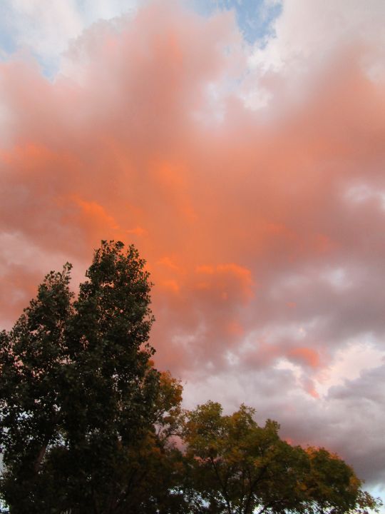 Crazy Colored Sky - Colorado #1 - Ward Love's Red Bear Gallery ...