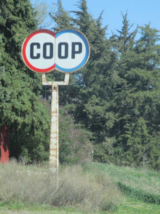 CO-OP Sign #2 - Ward Love's Red Bear Gallery - Photography, Places ...