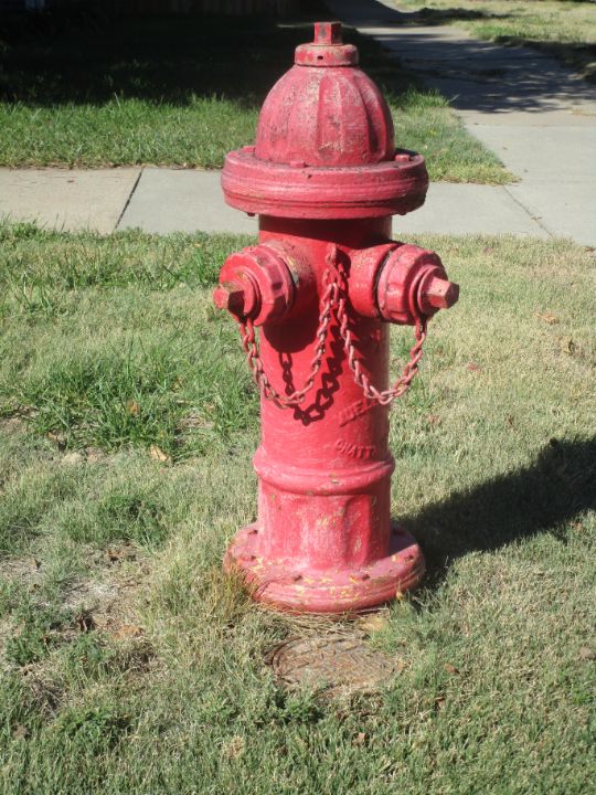 Fire Hydrant #22 - Ward Love's Red Bear Gallery - Photography, Places ...