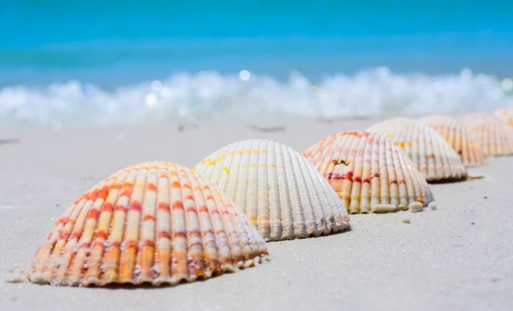 Perfect Day at Shell Key - Lauren R. Gay - Photography, Landscapes ...