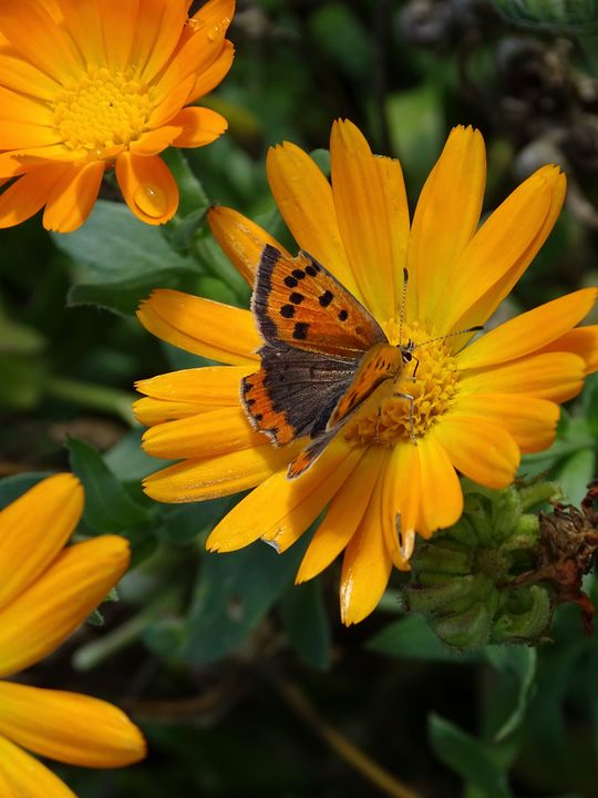 New beginnings - Sky - Photography, Animals, Birds, & Fish, Bugs ...