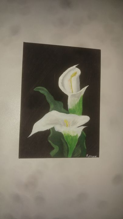 Lilies in the light - Richard Noonan - Paintings & Prints, Flowers ...