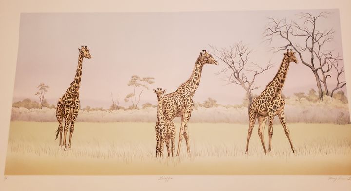 Giraffes - The Graphic House - Wayne Winkler - Paintings & Prints ...