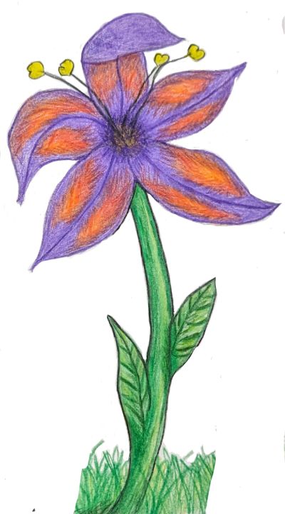 Funky Lily - LauRachel - Drawings & Illustration, Flowers, Plants ...
