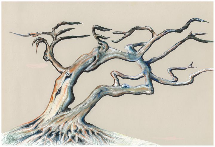 '' OLD MAN CYPRESS TREE '' - R. TORRES GALLERY - Drawings ...