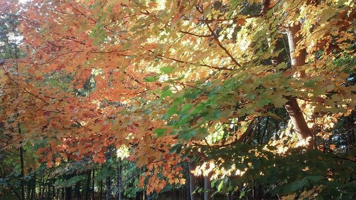 Fall - Landscapes - Photography, Landscapes & Nature, Seasons, Autumn ...