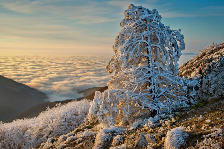 Bulgaria - Nature - Photography, Landscapes & Nature, Other Landscapes ...