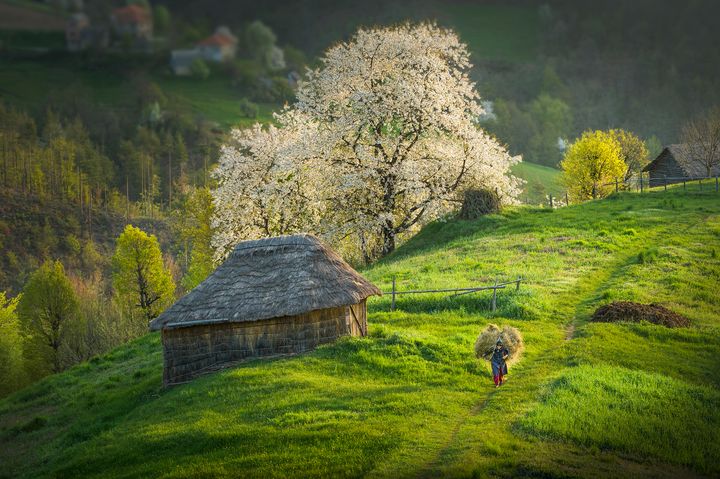 Bulgaria - Nature - Photography, Landscapes & Nature, Other Landscapes ...