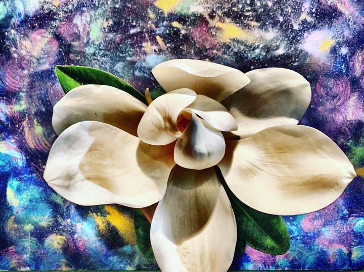 Emily Danielle López - Photography, Digital Art & AI, Paintings & Prints