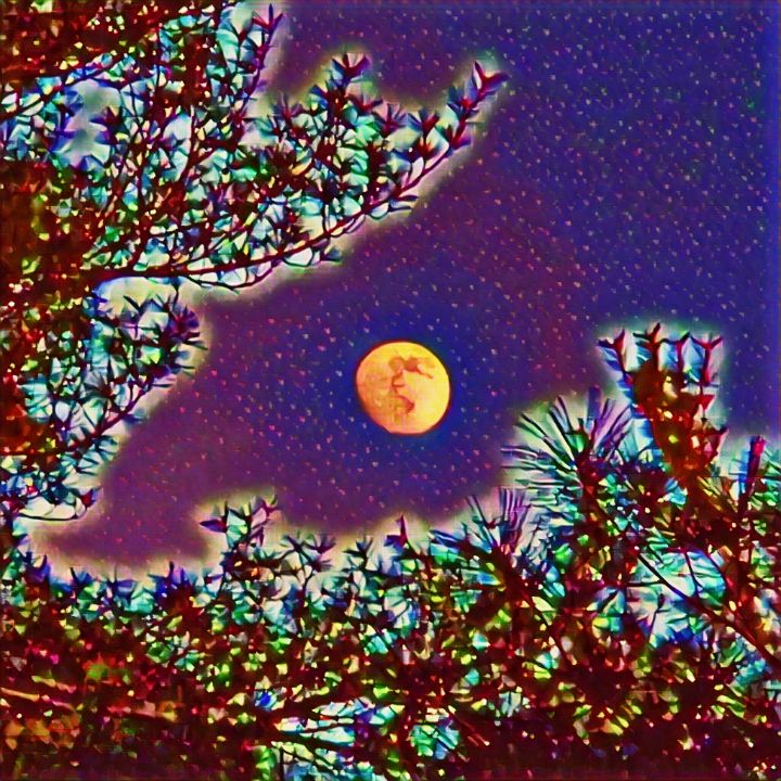 Pine Moon - Ryan's Art Dump - Digital Art, Astronomy & Space, Moon - ArtPal