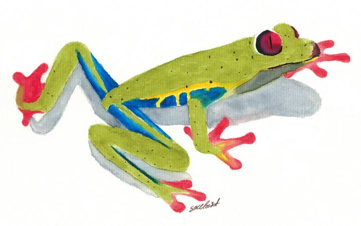 Red Eyed Tree Frog - Sean Kienle Watercolor Designs - Paintings ...