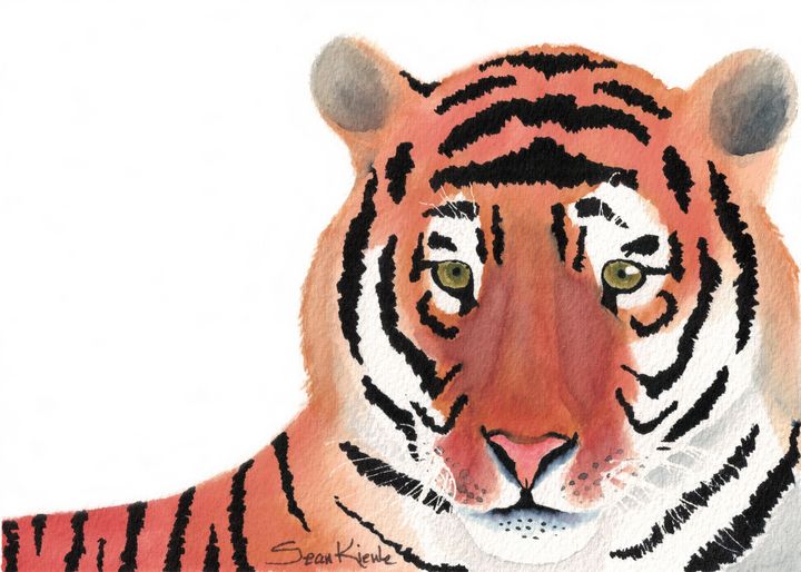 Tiger - Sean Kienle Watercolor Designs - Paintings & Prints, Animals ...