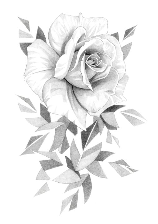 Rose Pencil Drawing - Matthew Hack - Drawings & Illustration, Flowers ...