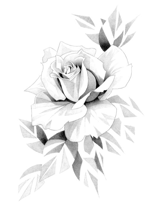 Rose Pencil Drawing - Matthew Hack - Drawings & Illustration, Flowers ...