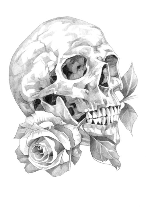 Skull & Rose Pencil Drawing - Matthew Hack - Drawings & Illustration ...