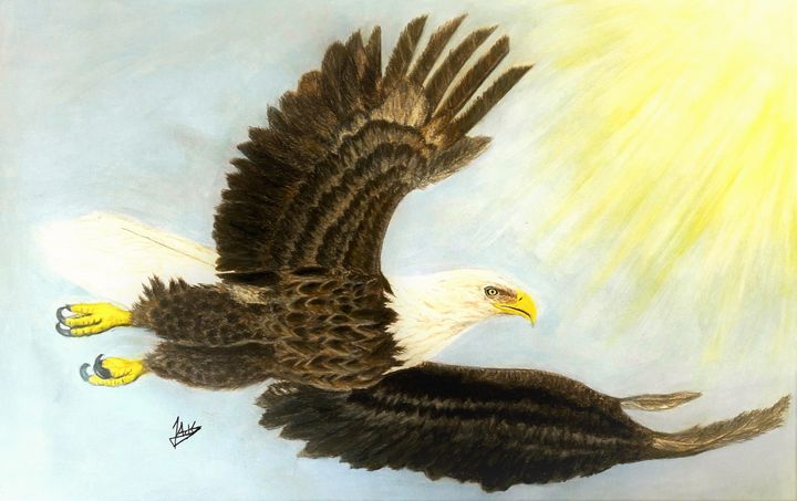 Soaring Eagle - Jacks Ninan Creations Art - Paintings & Prints, Animals ...