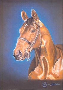 D. Williams - Paintings & Prints