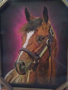 D. Williams - Paintings & Prints