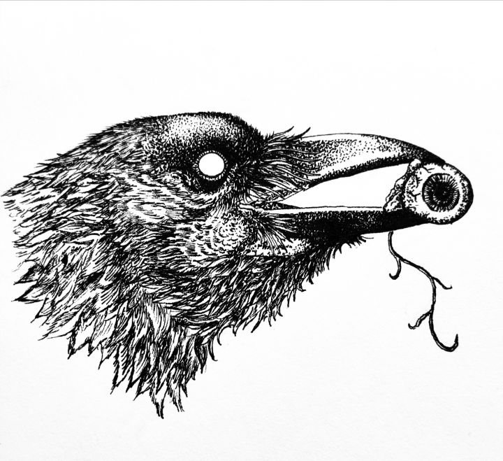 Evil Crow Eye - Jennifer Daddi - Drawings & Illustration, Animals, Birds, & Fish, Birds, Ravens ...