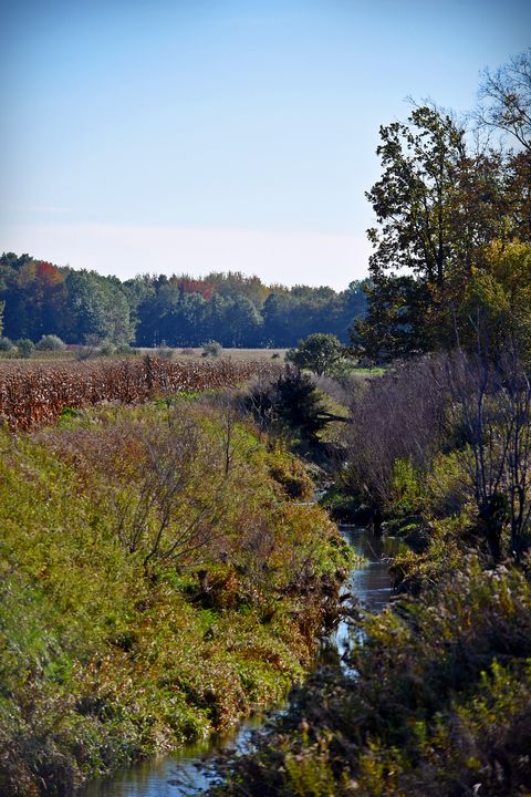 Rural Creek of Ol' Michigan - BoundlessArtist - Photography, Landscapes ...