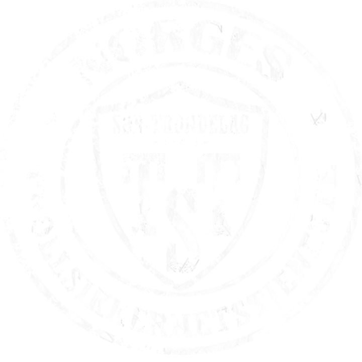 Troll Security Team, distressed - RekaStore - Digital Art & AI, Humor ...