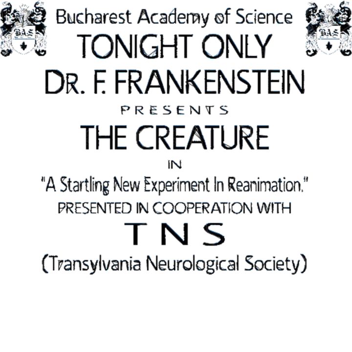 Young Frankenstein - RekaStore - Digital Art &amp; AI, Humor &amp; Satire ...