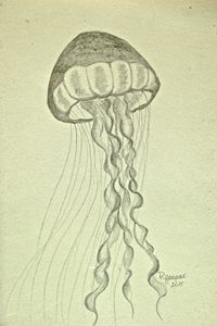 Robyn Hooper - Paintings & Prints, Digital Art & AI, Drawings ...