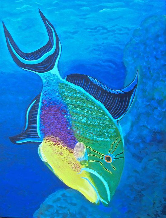 Queen Trigger Fish - Robyn Hooper - Paintings & Prints, Animals, Birds ...