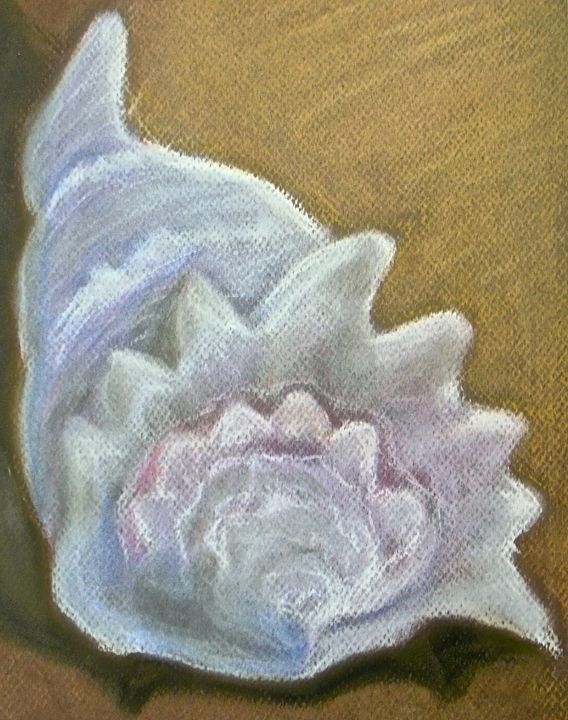 Conch Shell - Robyn Hooper - Paintings & Prints, Animals, Birds, & Fish ...