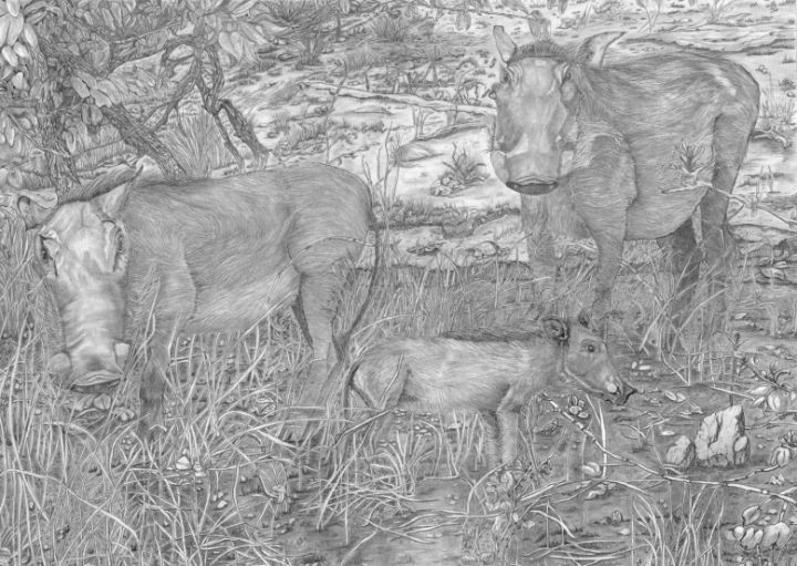 Rita's Art - Drawings & Illustration, Paintings & Prints