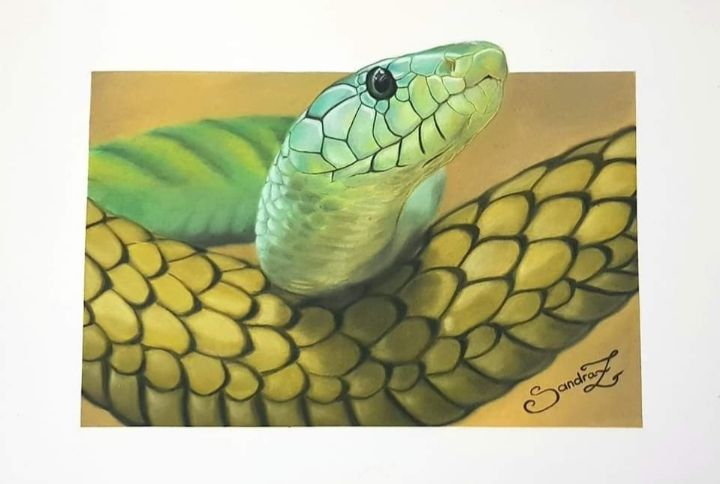 Green Mamba - Sandra Z - Art Animalier - Drawings & Illustration ...