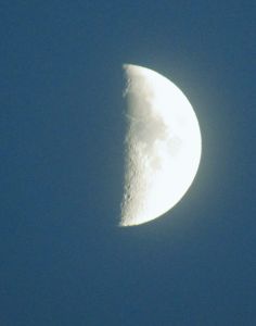 Dusk Moon - T.Riley - Photography, Astronomy & Space, Moon - ArtPal