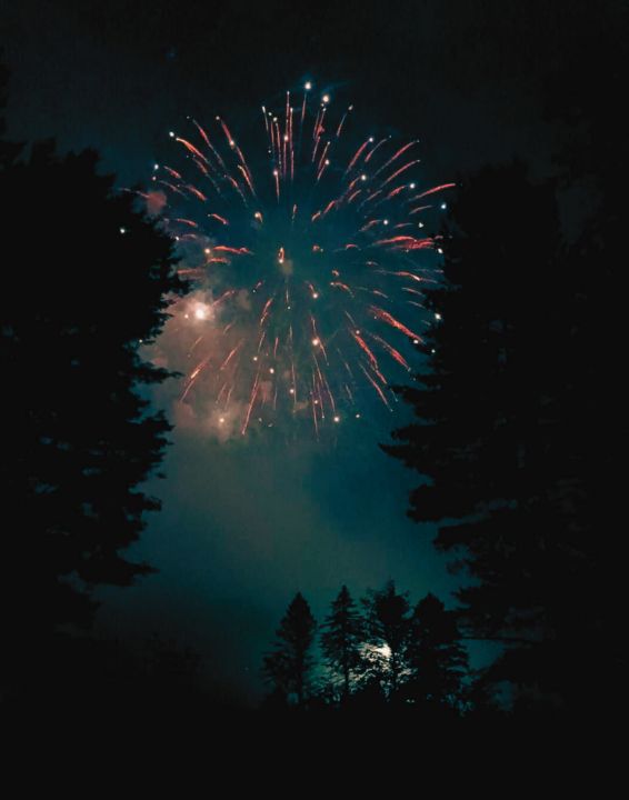 T.Riley - Photography