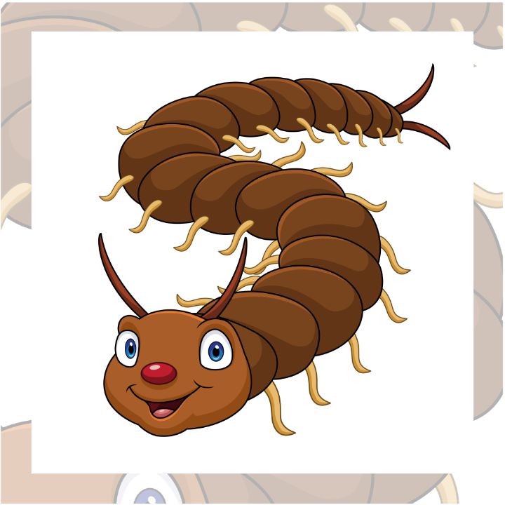 Cute centipede cartoon - REYYARTS - Drawings & Illustration, Animals ...