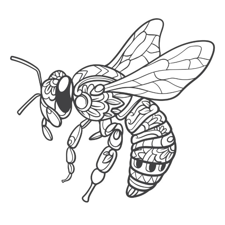 Outline Stinger head mandala arts - REYYARTS - Drawings & Illustration ...