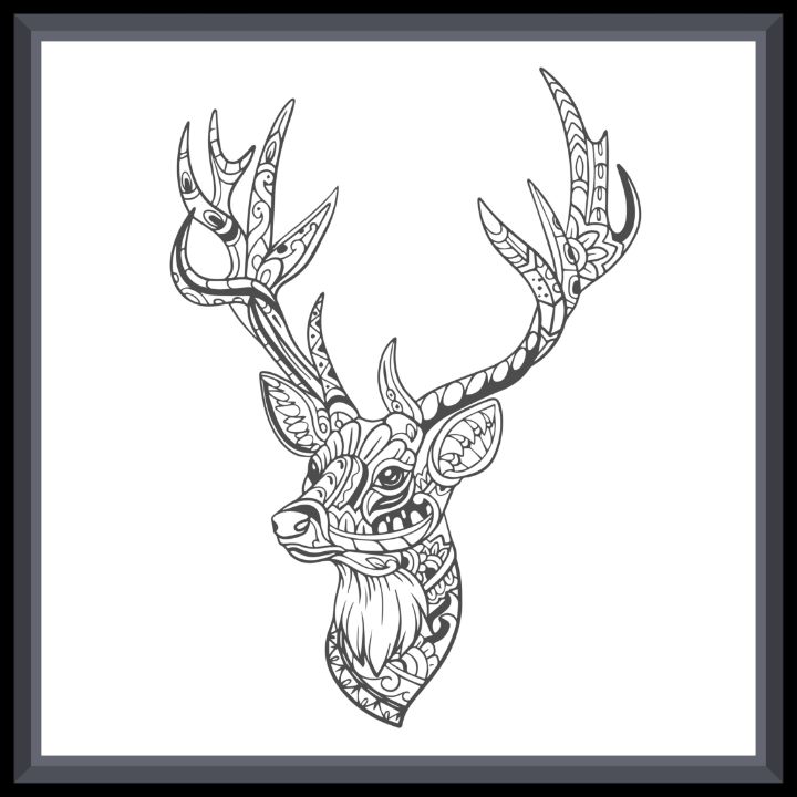 Doe Head Drawings