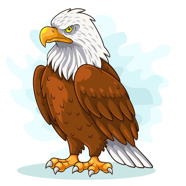 Cartoon Eagle bird - REYYARTS - Drawings & Illustration, Animals, Birds ...