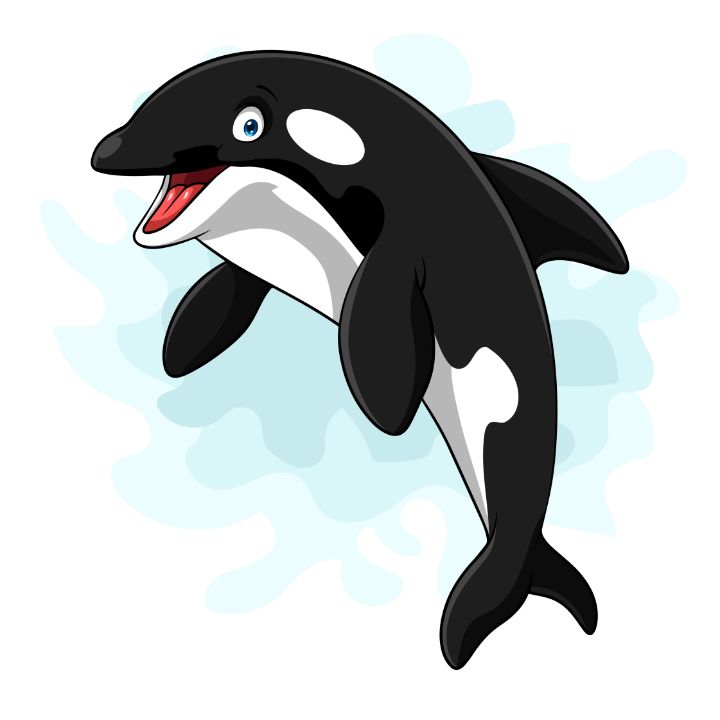 Cartoon orca - REYYARTS - Drawings & Illustration, Animals, Birds ...