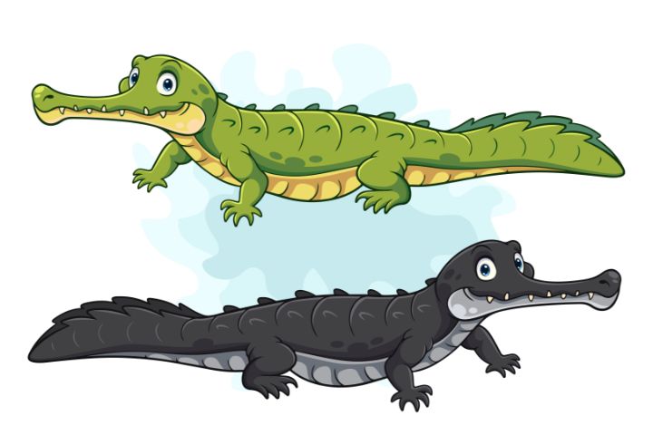 Cartoon gharial crocodile - REYYARTS - Drawings & Illustration, Animals ...